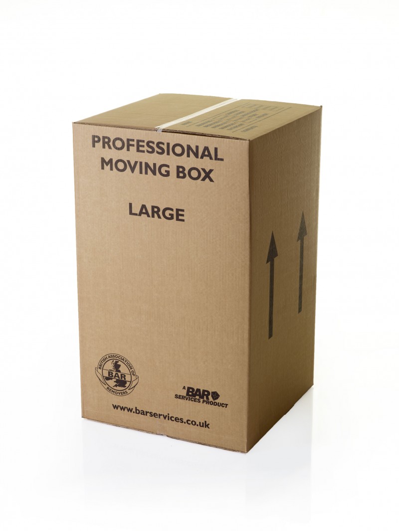 Large Moving Box